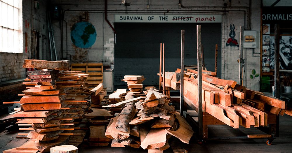 Collaborating with Revival Projects